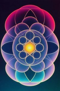 The Ultimate Magic Mushroom Strain Guide - 1UpMaps Psychedelics
